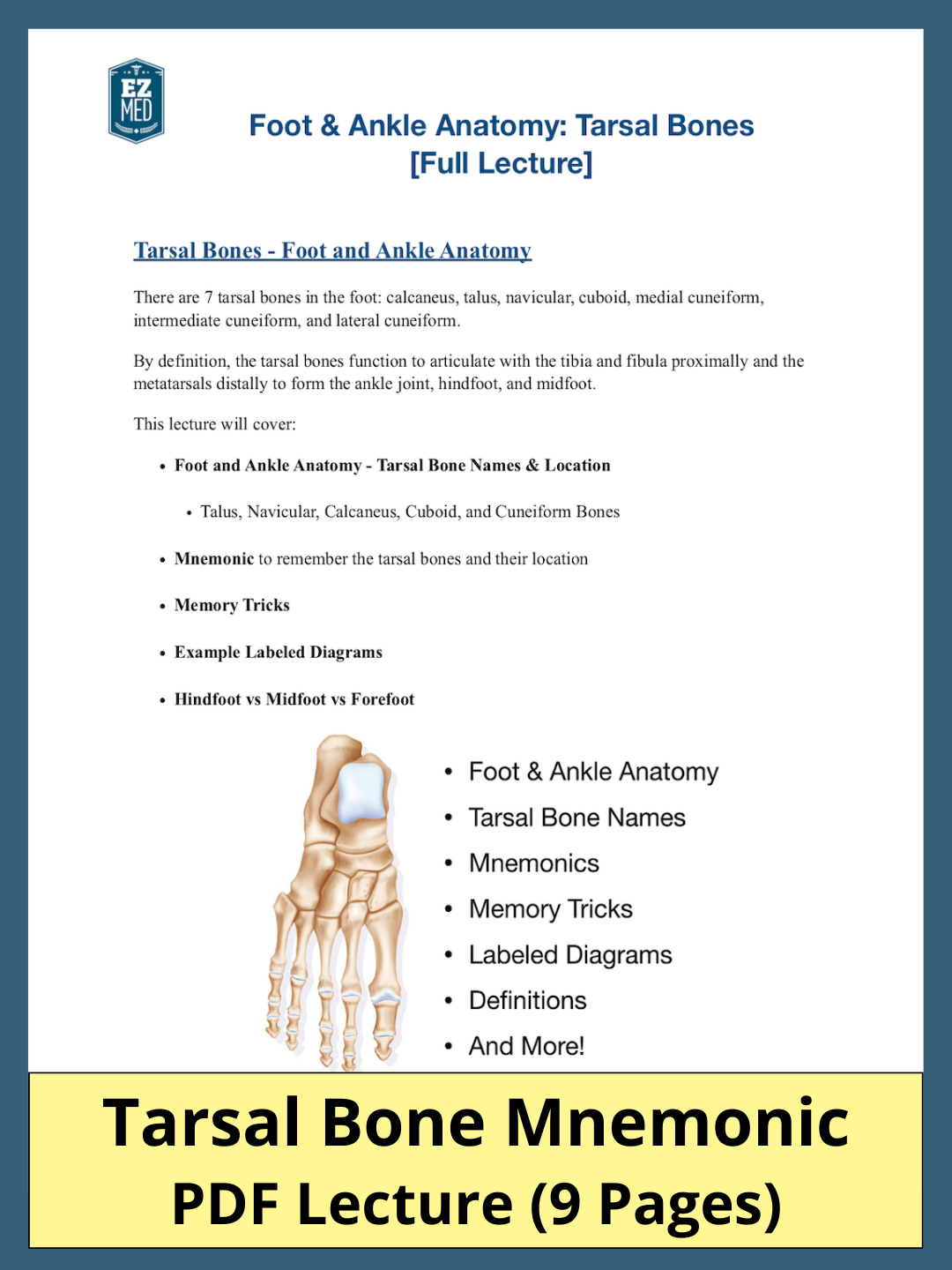 Tarsal Bones Mnemonic PDF: Foot And Ankle Labeled Diagram,, 60% OFF