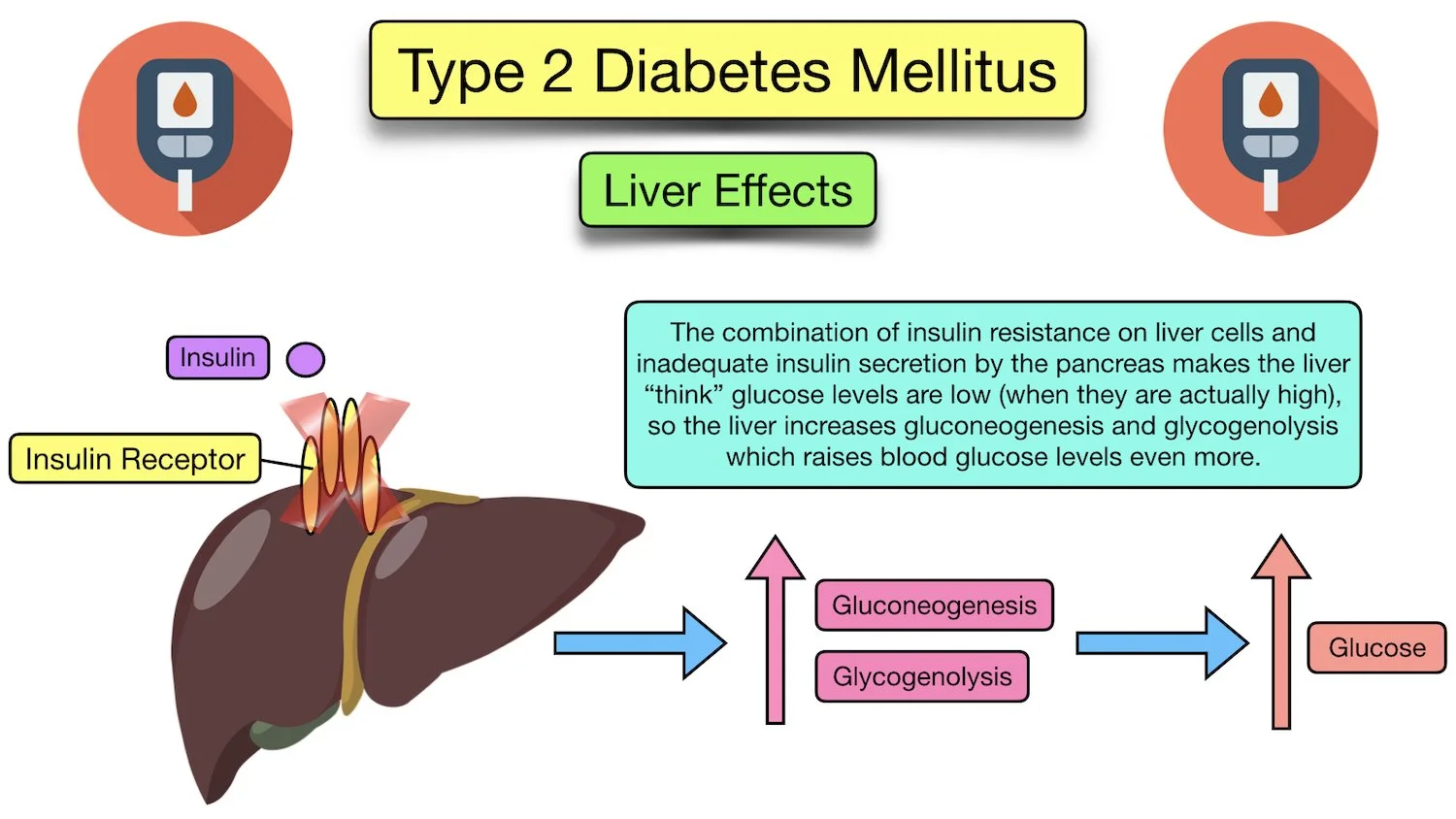 Pathophysiology Of Type 2 Diabetes Mellitus In Diagram Precisely What