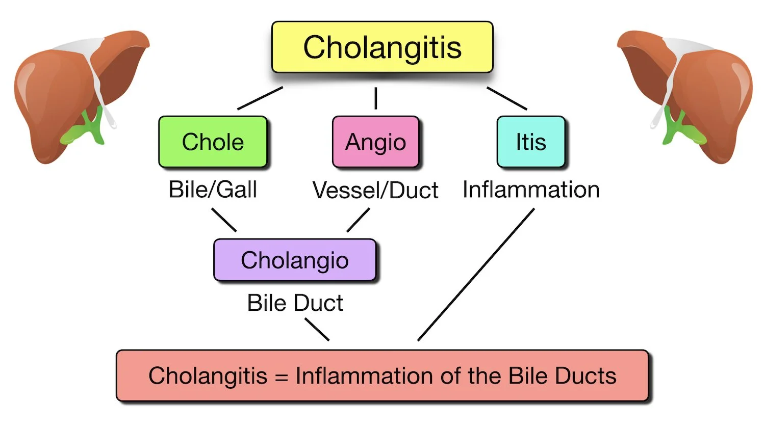 Cholangitis Meaning Bile Duct Diseases Harvard Health