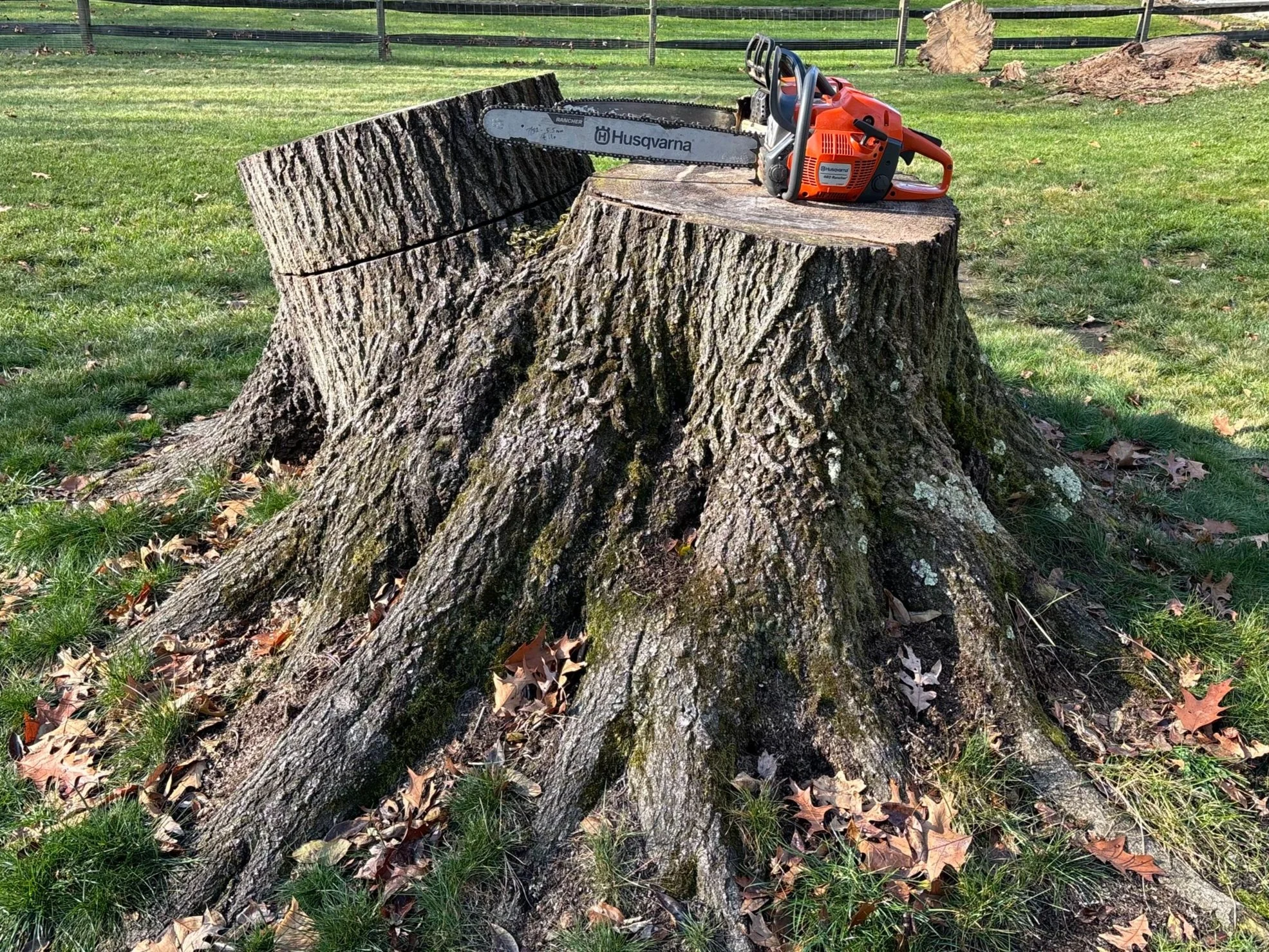Gaining Ground Stump Grinding