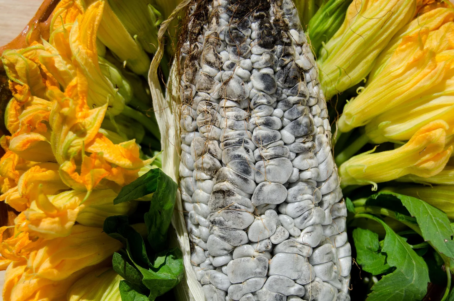 Best Food from Oaxaca: Oaxacan Foodie Guide Supremo — Chef Denise
