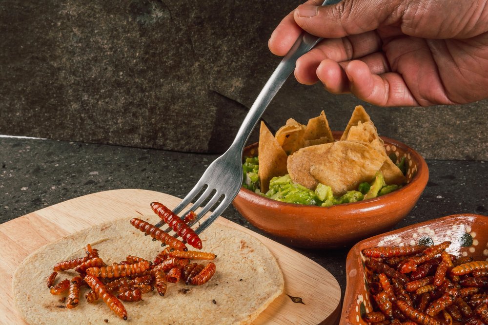11 Weird Foods in Mexico To Know Before You Go — Chef Denise