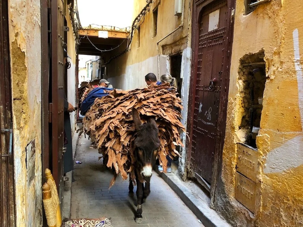 The BEST Moroccan Street Food in Fez! — Chef Denise