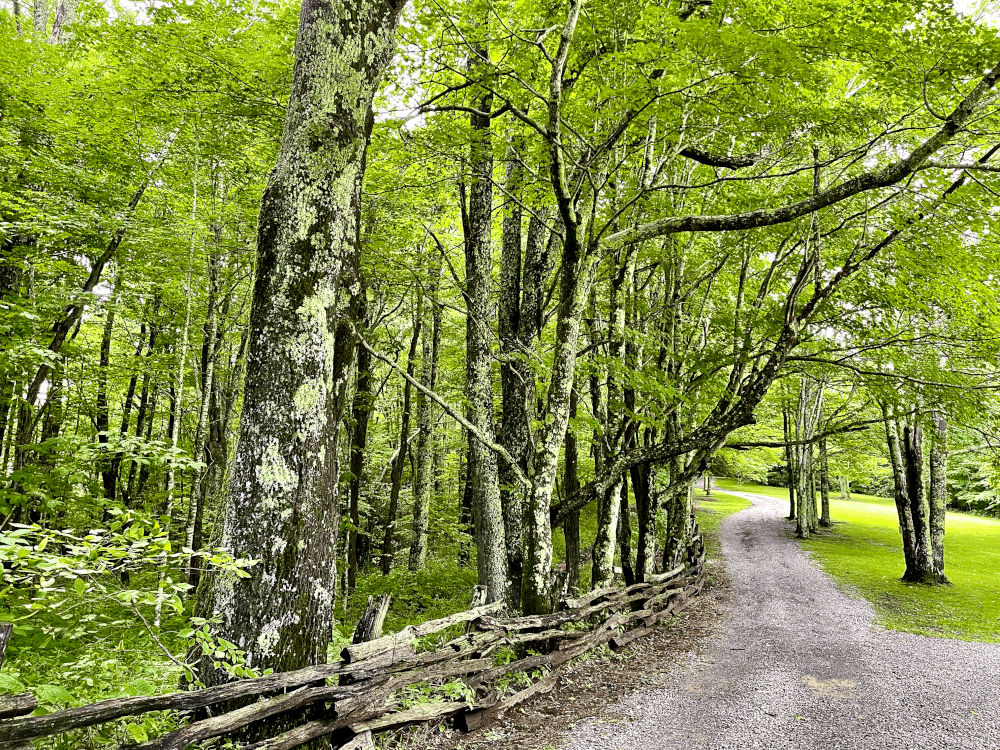 The Swag, NC: A Foodie and Hiker’s Paradise — Chef Denise