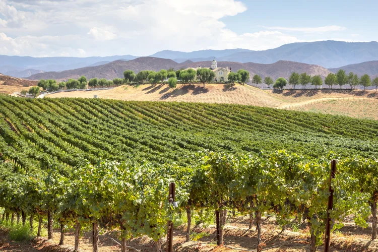11 Restaurants in Temecula Wineries You Will Love — Chef Denise