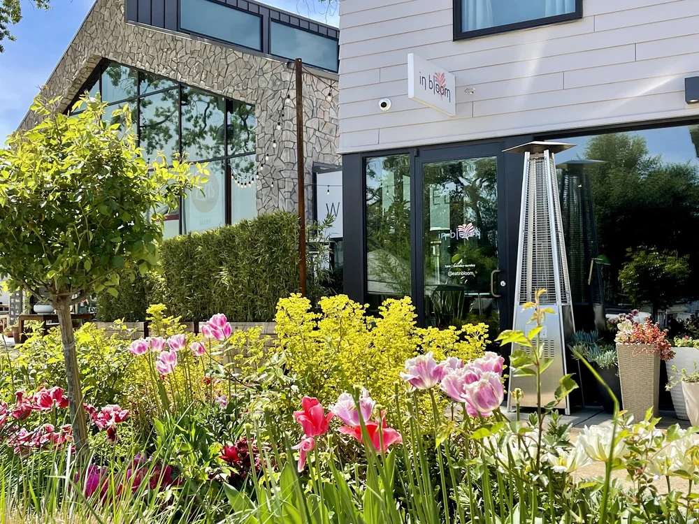 Best Paso Robles Restaurants: 15 Hot Spots for 2024! — Chef Denise