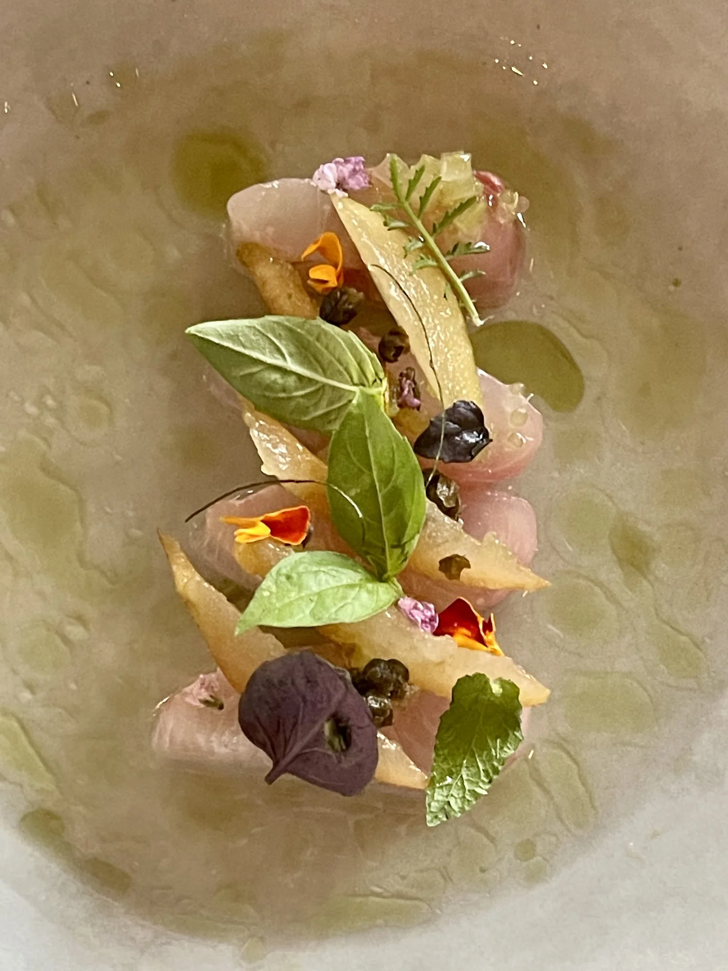 101 Best Sushi Quotes for Social Media Sharing — Chef Denise