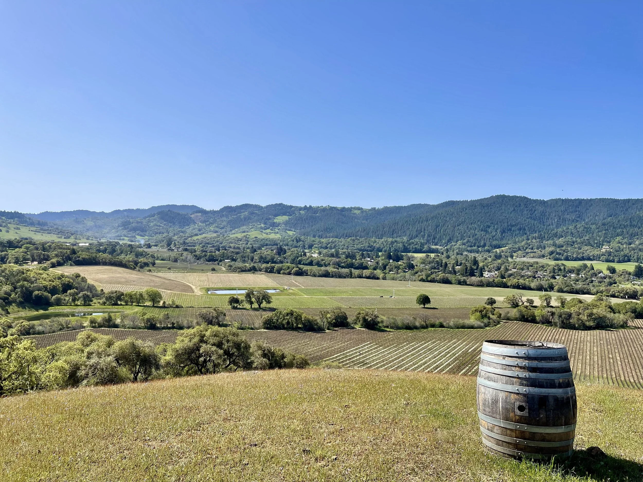 The Best Anderson Valley Wineries You Should Visit — Chef Denise