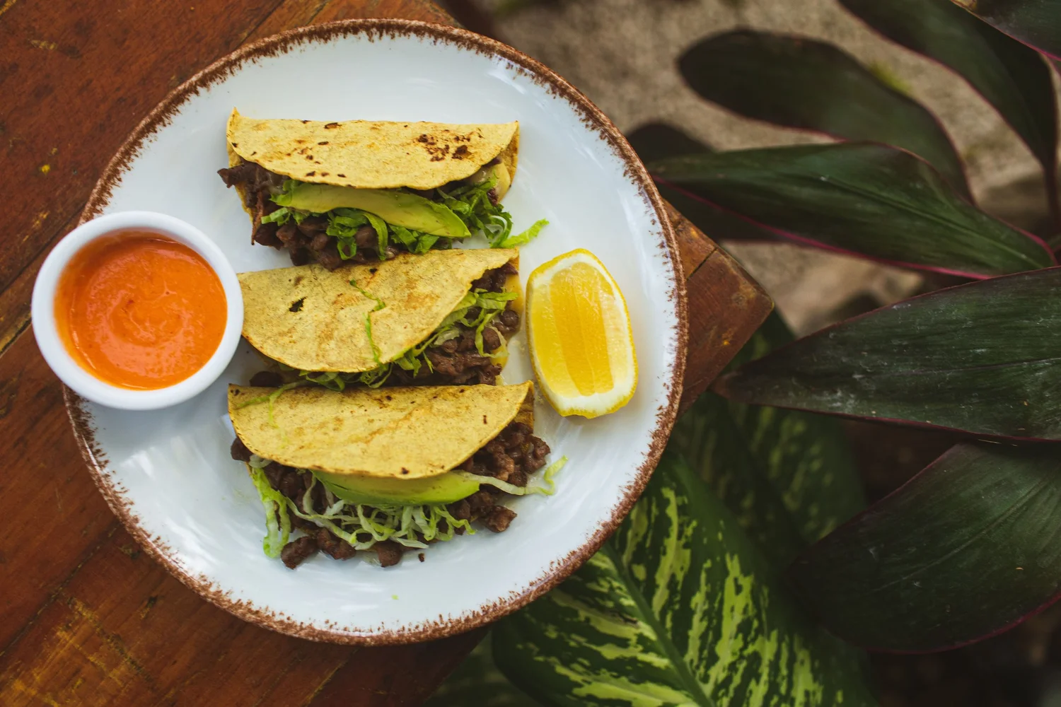 10 Best Cheap Eats in Cabo San Lucas You'll Love — Chef Denise
