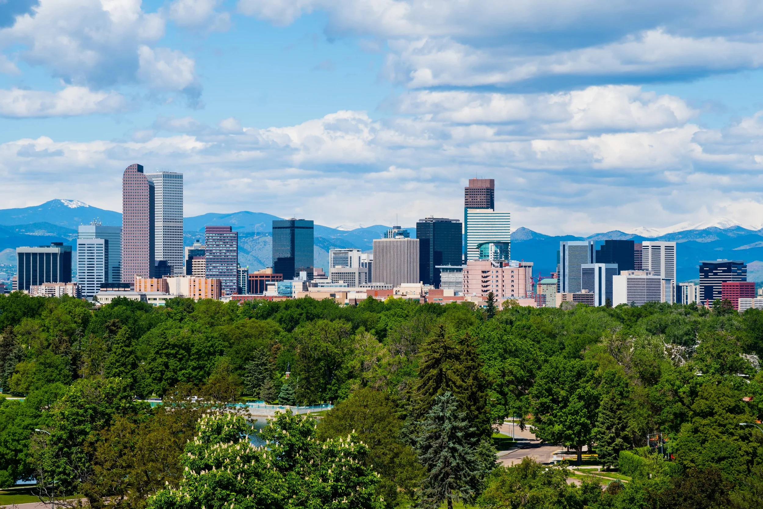11 Best Sports Bars Denver Fanatics Must Visit — Chef Denise