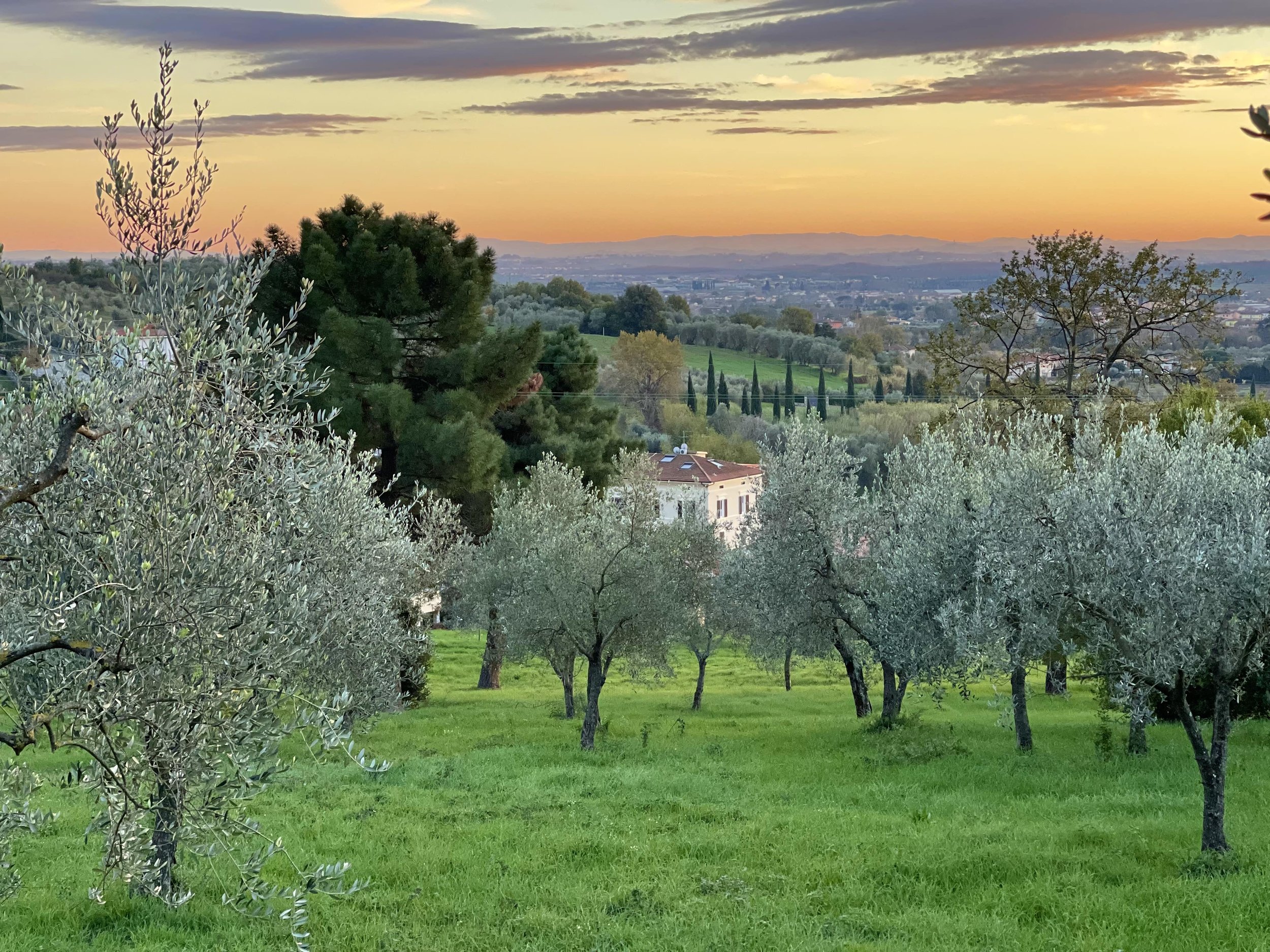 30 Best Traditional Tuscan Foods To Eat in Tuscany — Chef Denise