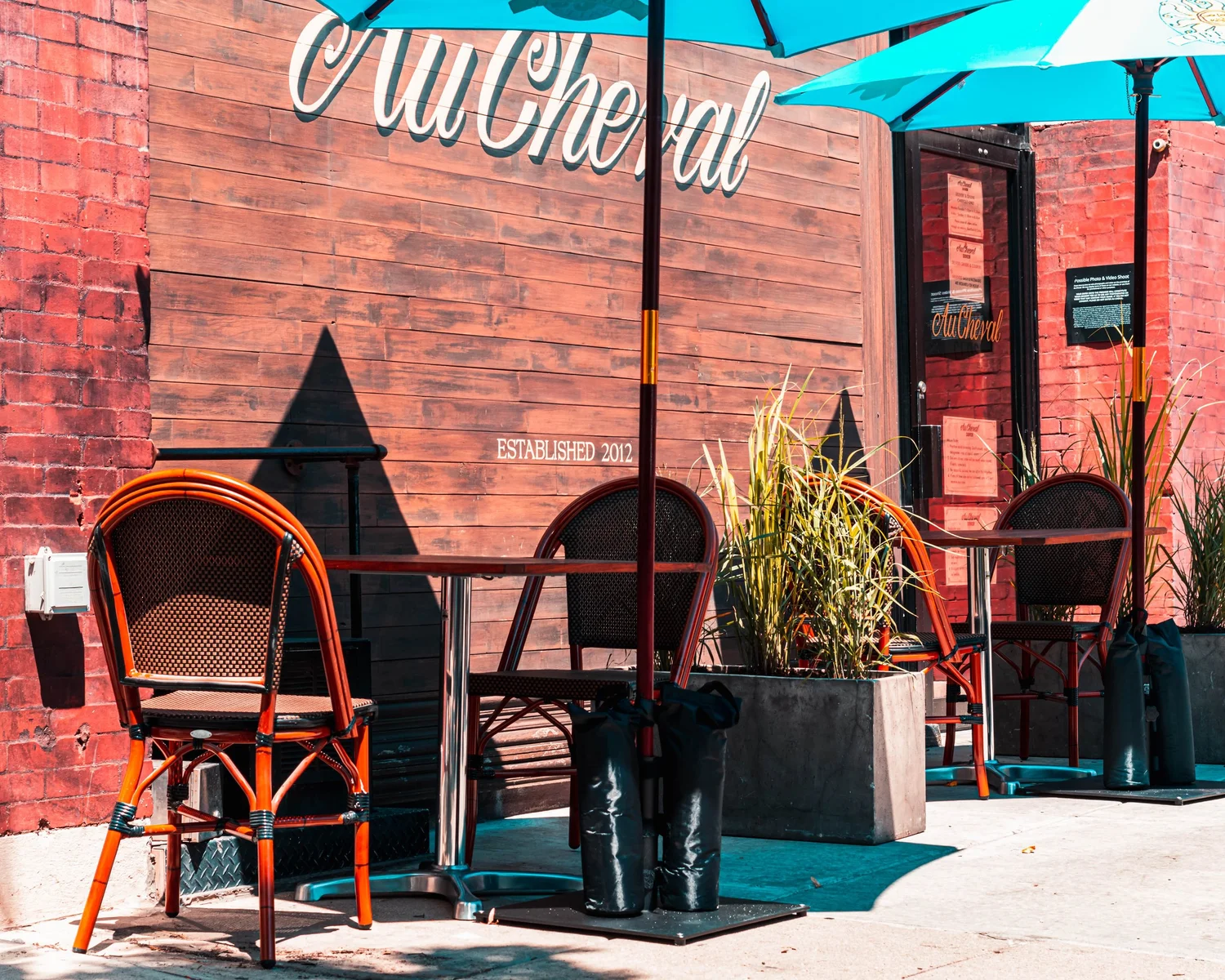 15 Famous Chicago Foods & Where To Find Them All! — Chef Denise