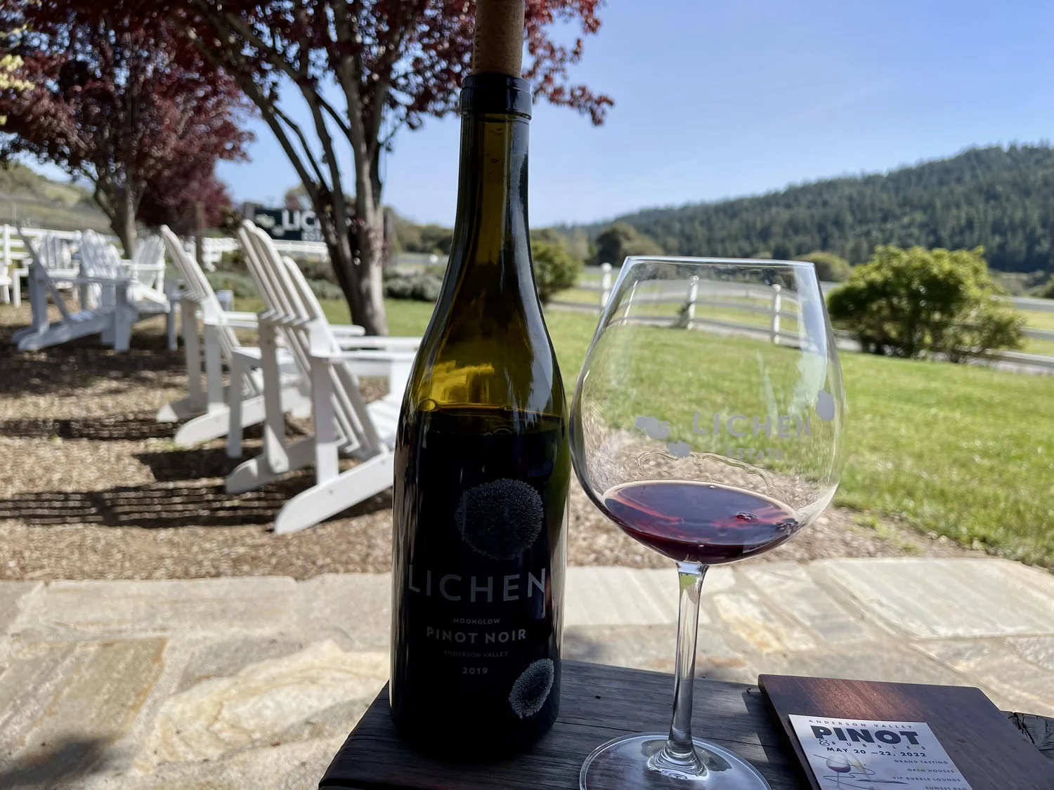 The Best Anderson Valley Wineries You Should Visit — Chef Denise