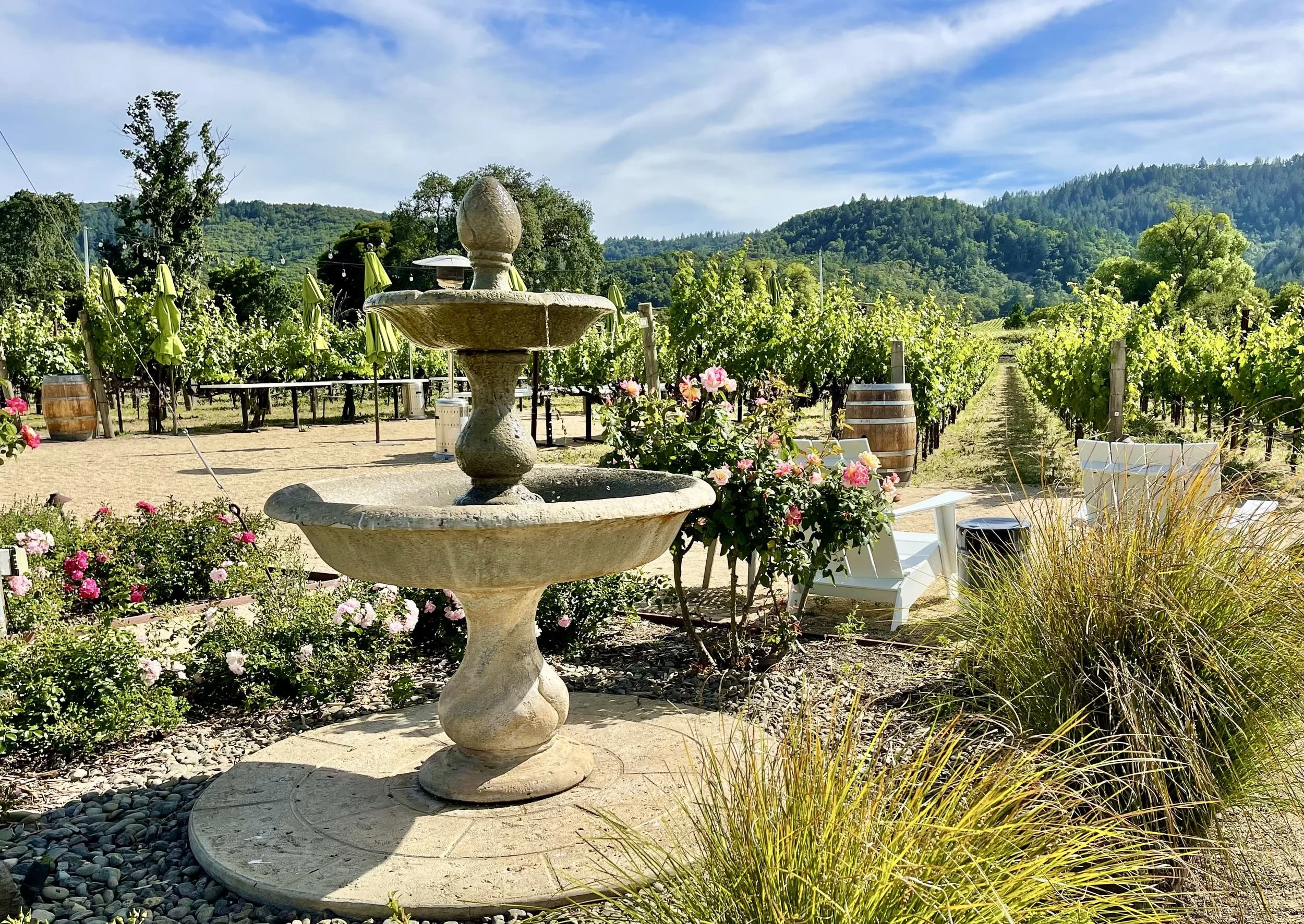 13 Best Yountville Wineries and Tasting Rooms: 2024 — Chef Denise