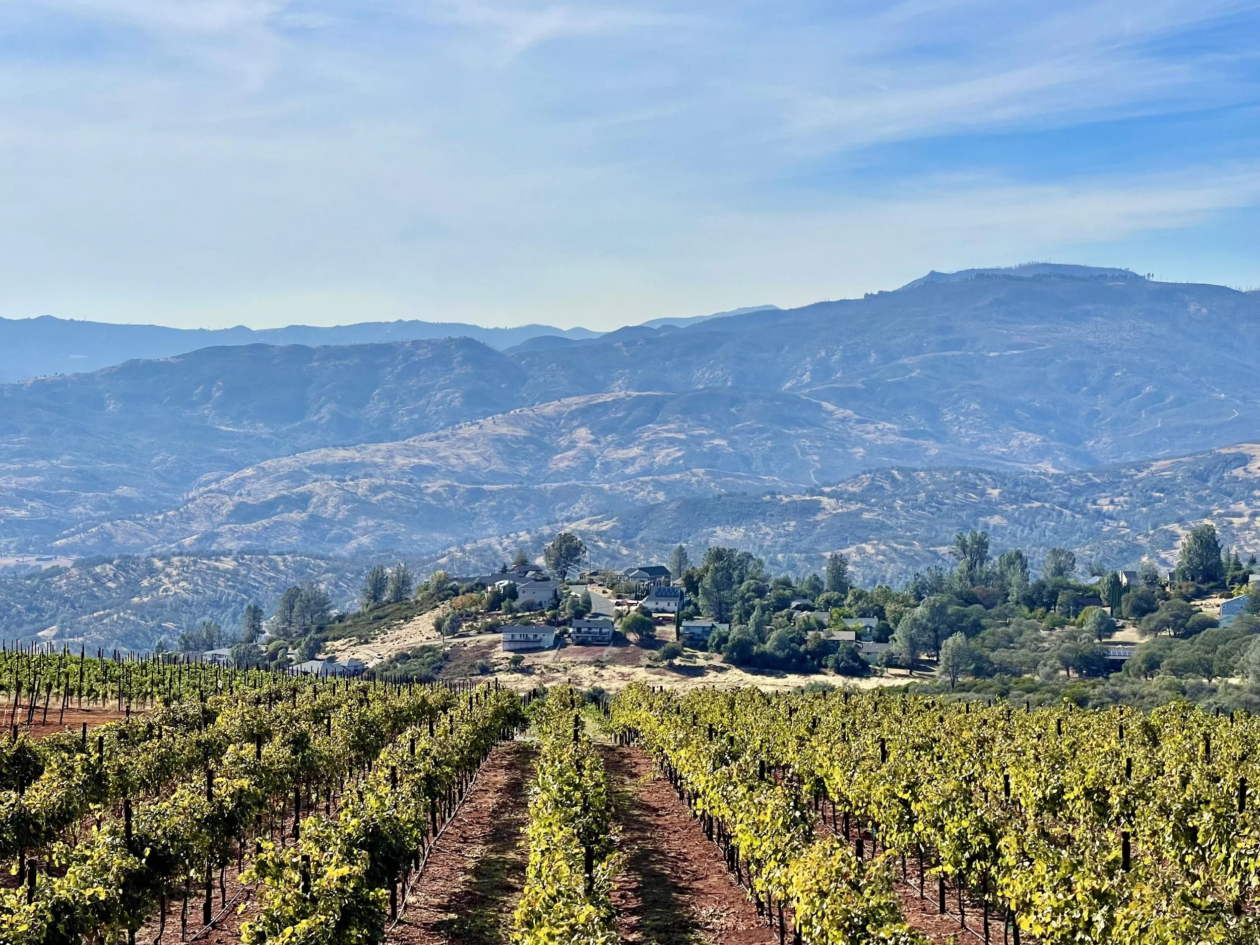 Top 10 Foodie Things to do in Lake County, California — Chef Denise