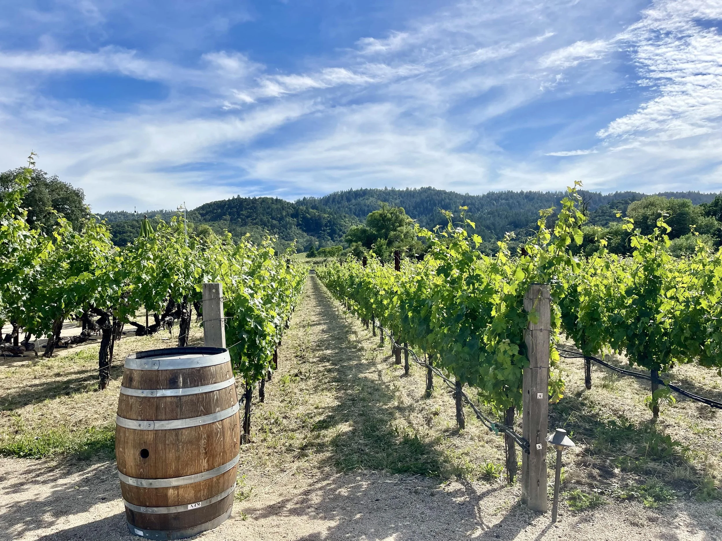Top 10 Best Yountville Restaurants: Napa Valley 2024 — Chef Denise