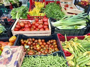 150+ Fun Italian Food Quotes, Captions, & Sayings — Chef Denise