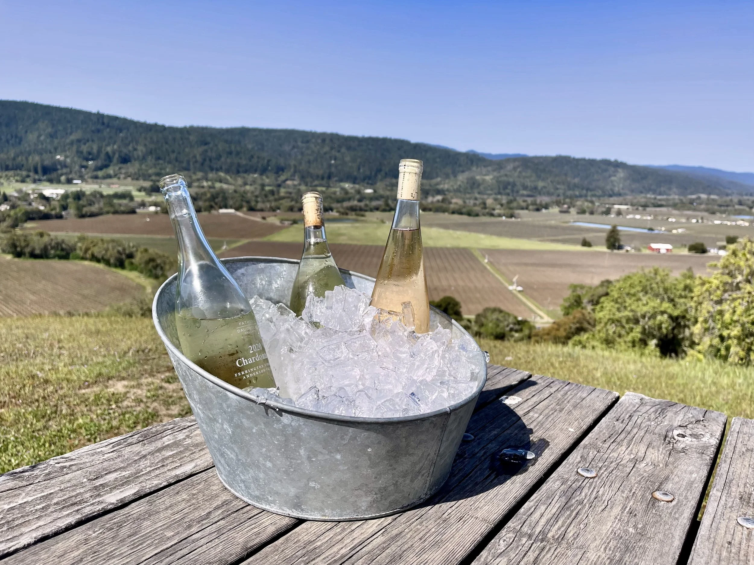The Best Anderson Valley Wineries You Should Visit — Chef Denise