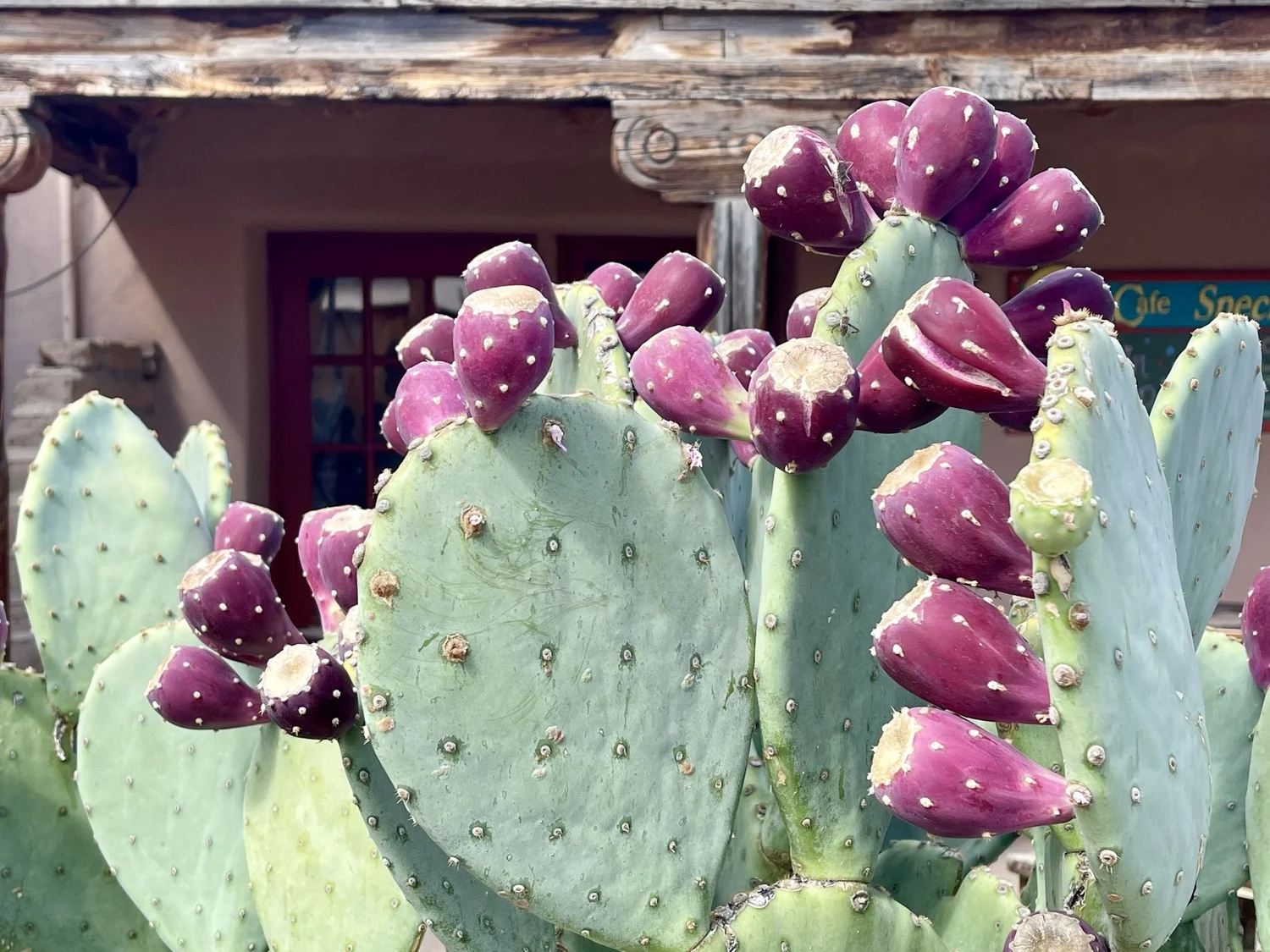 Best Food from Oaxaca: Oaxacan Foodie Guide Supremo — Chef Denise