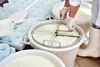 Camembert vs. Brie: A Chef's French Cheese Showdown — Chef Denise