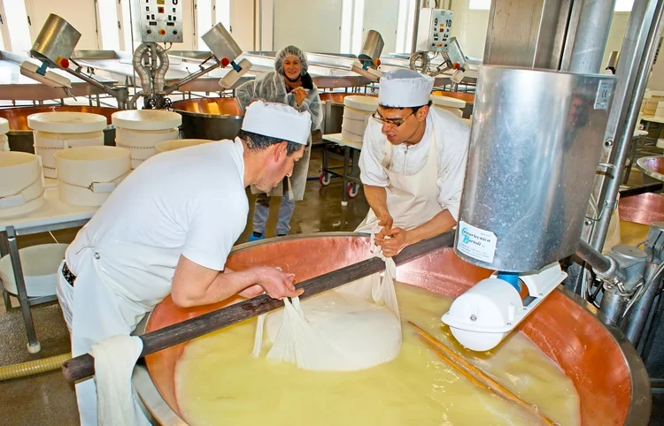 7 Best Food Tours in Bologna, Italy: 2024 Guide — Chef Denise