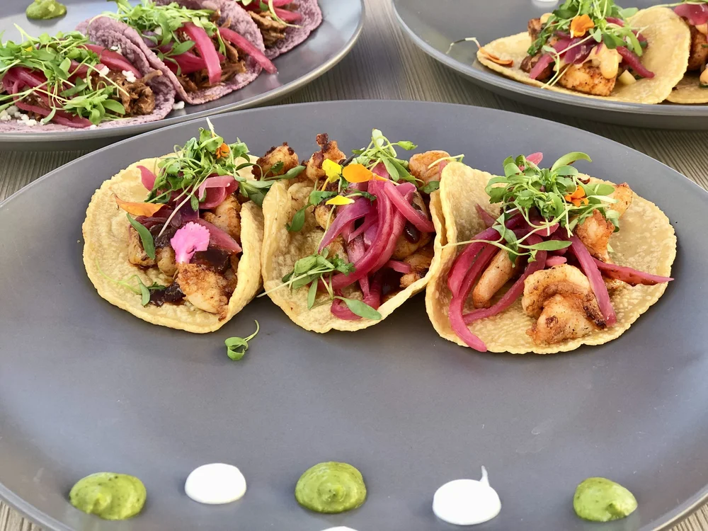 11 Weird Foods in Mexico To Know Before You Go — Chef Denise