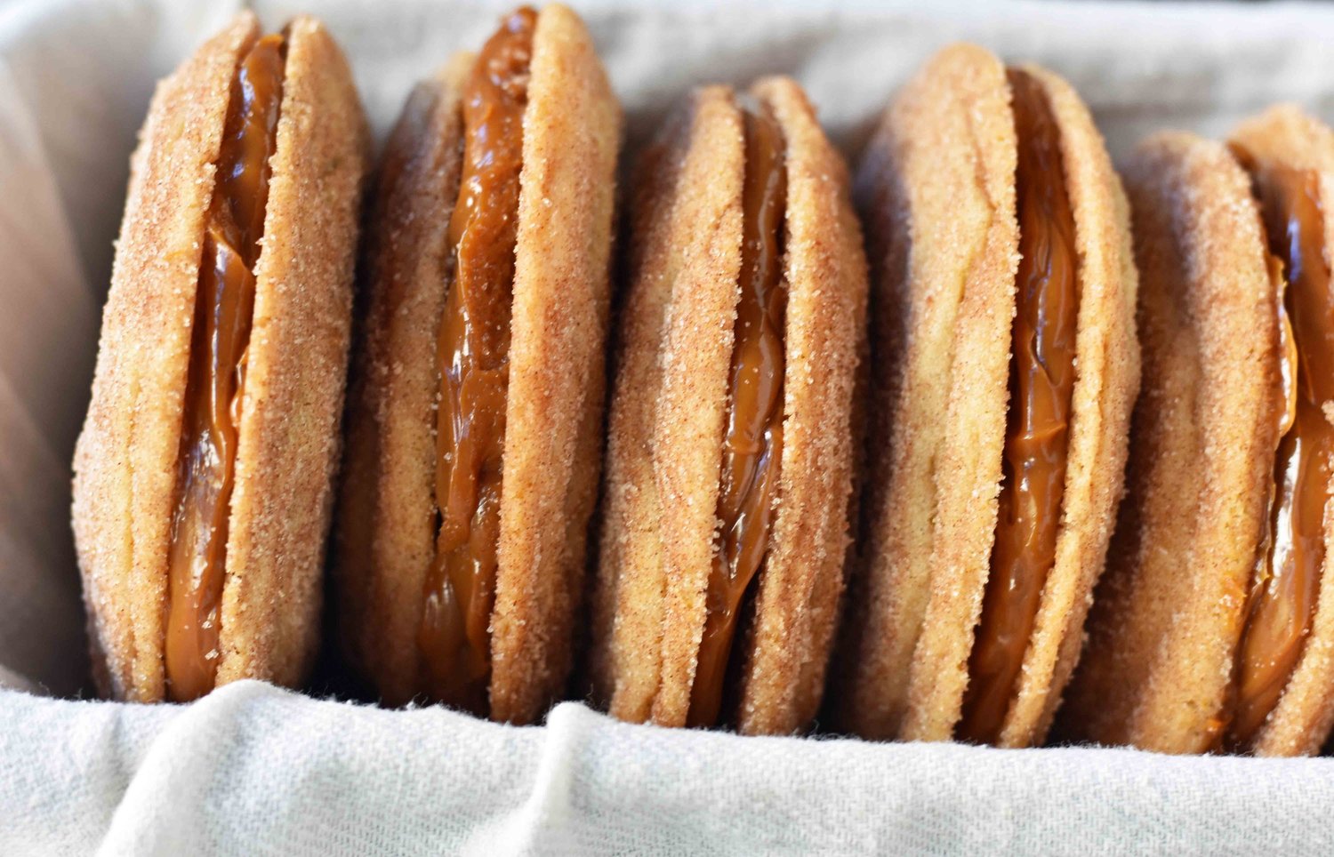 Top 10 Mexican Cookies: From Wedding to Polvorones — Chef Denise