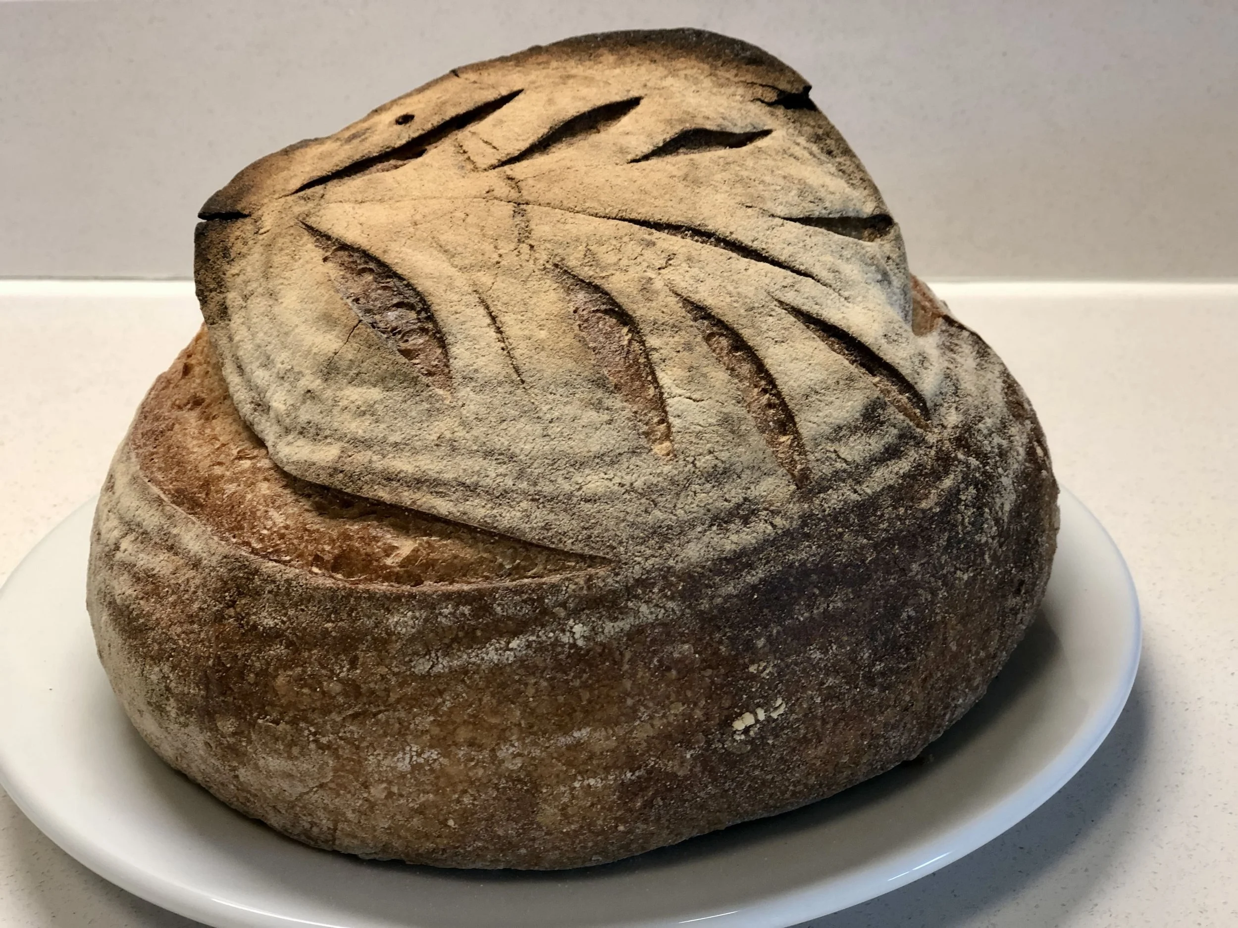 Famous California Foods: 21 Golden State Favorites — Chef Denise