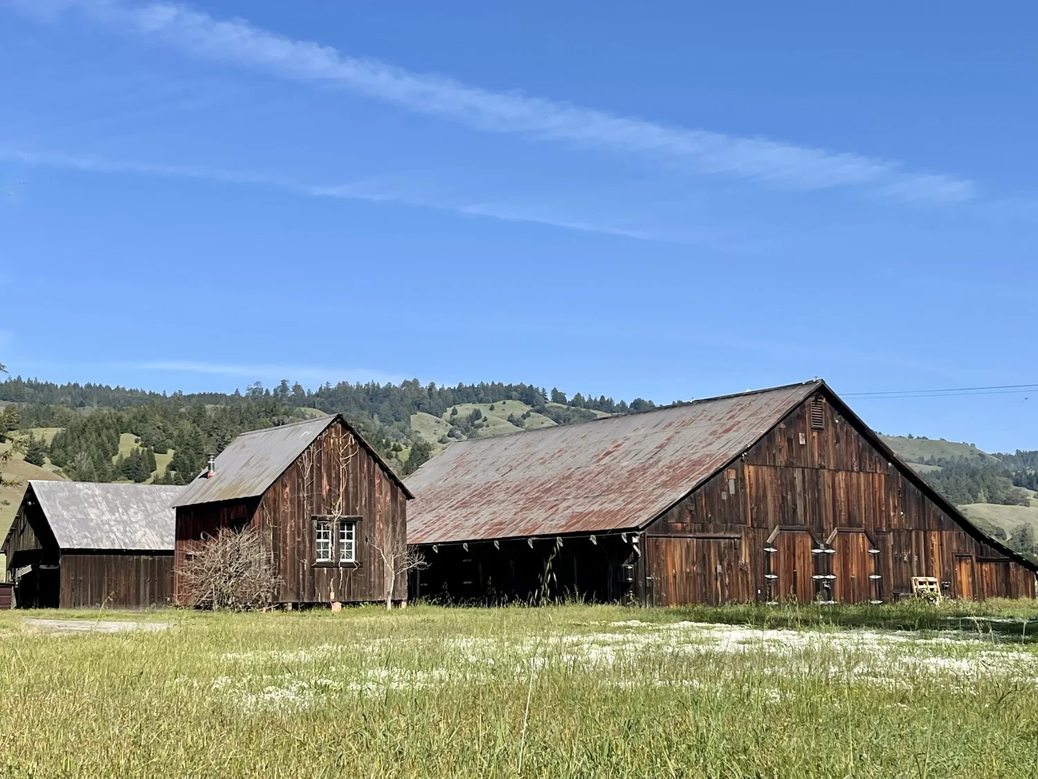 The Best Anderson Valley Wineries You Should Visit — Chef Denise