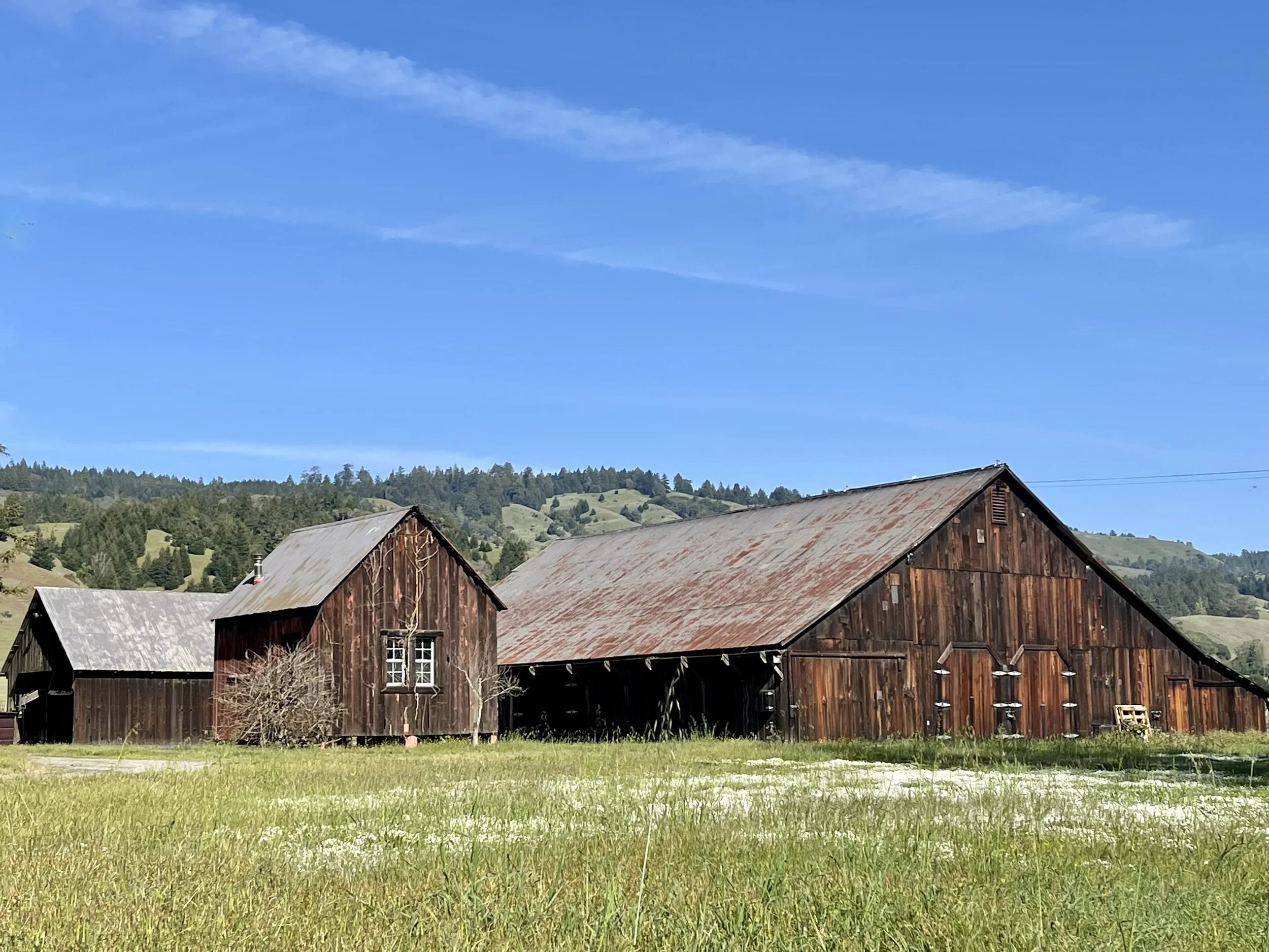 The Best Anderson Valley Wineries You Should Visit — Chef Denise