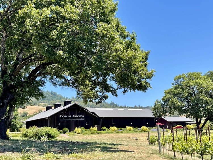 The Best Anderson Valley Wineries You Should Visit — Chef Denise