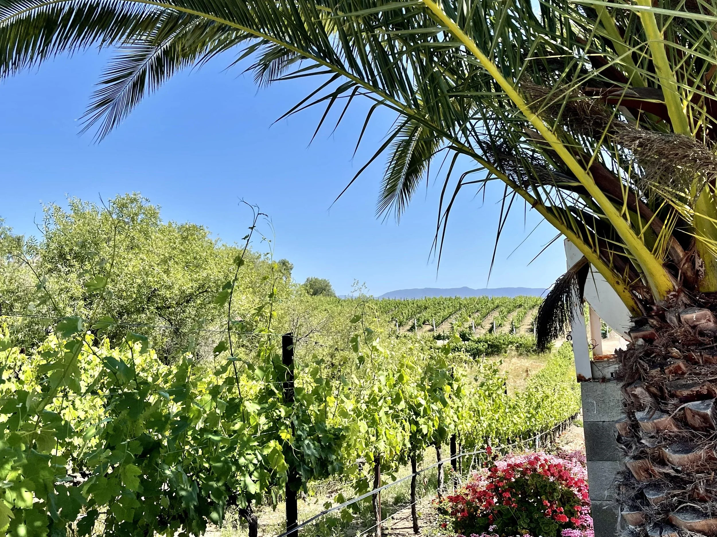 Weekend in Temecula: Where To Wine, Dine, Stay & Play — Chef Denise