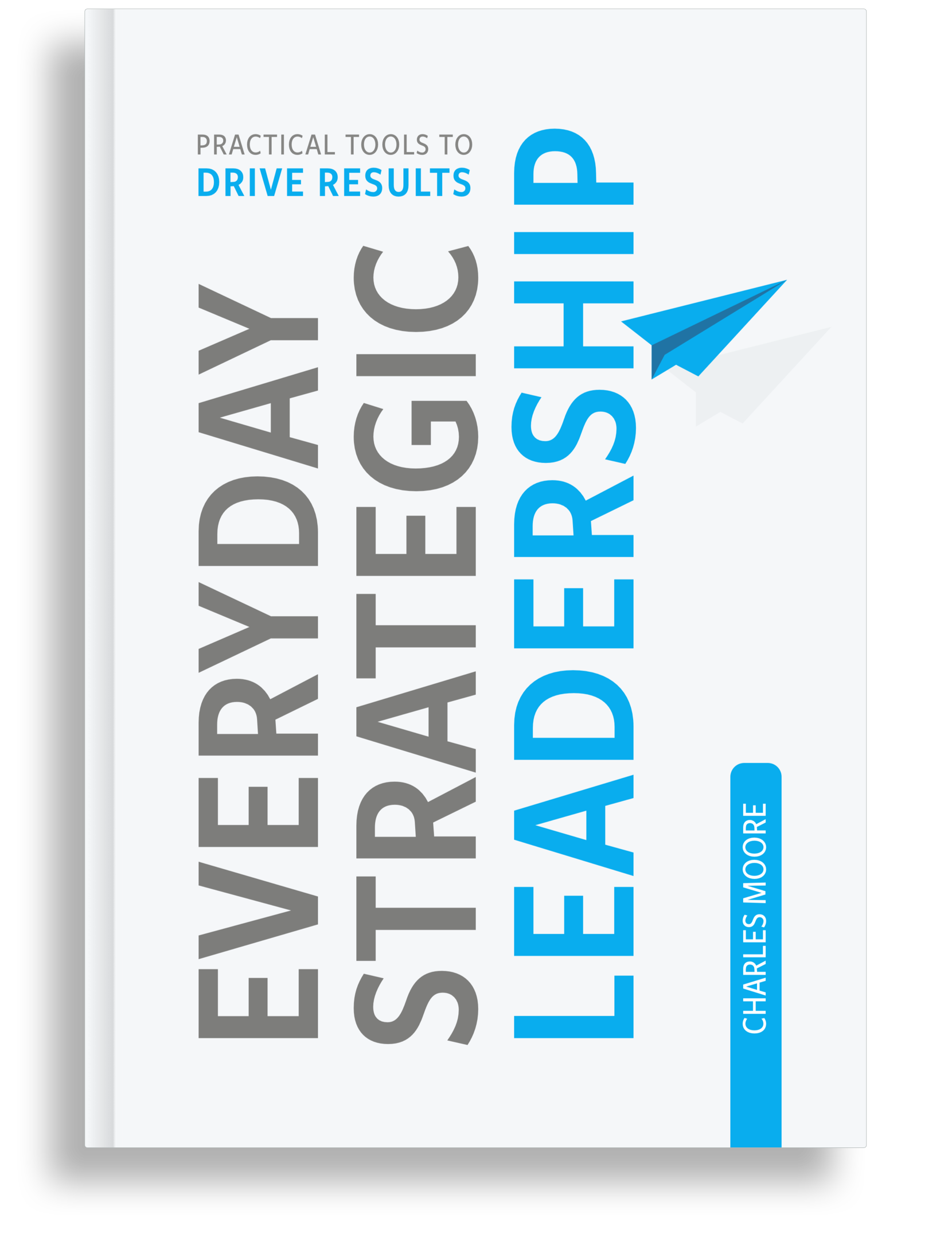 Everyday Strategic Leadership — Thrive Street Advisors