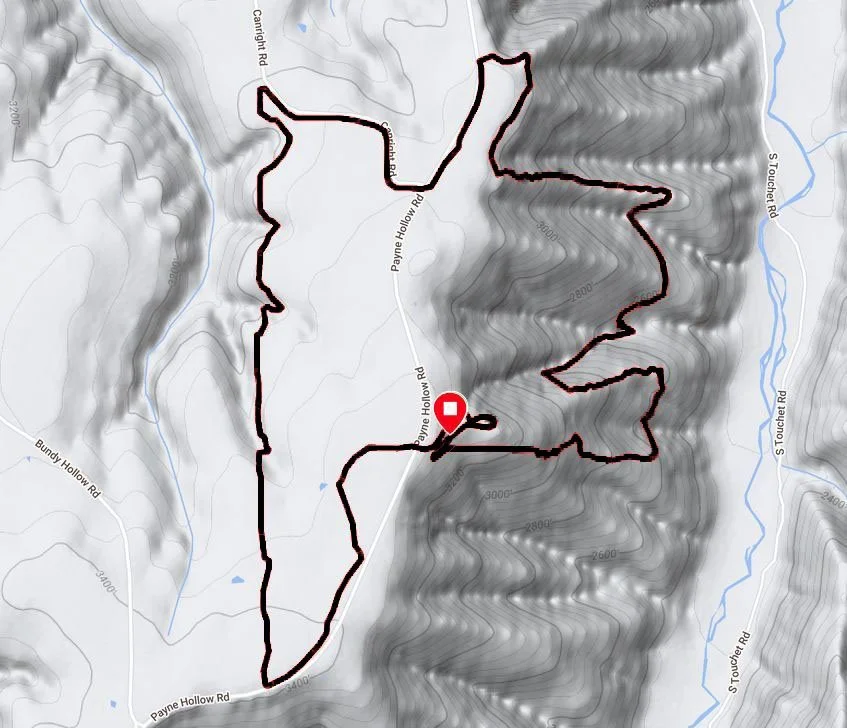 Black Trail Loop — Jasper Mountain Reserve