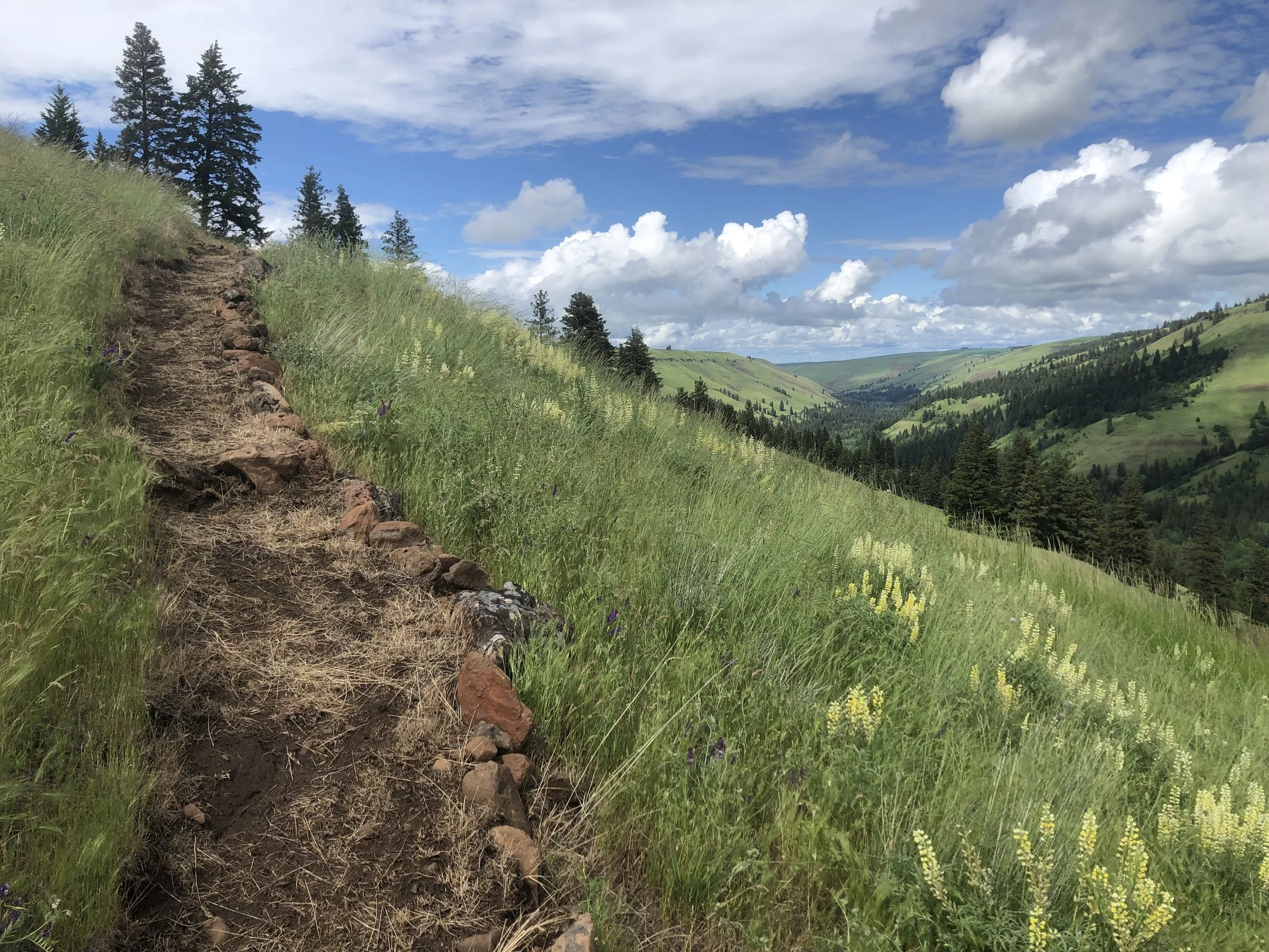 Trails — Jasper Mountain Reserve