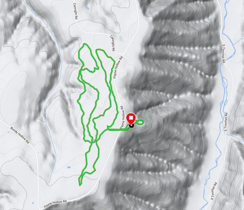 Green Trail Loop — Jasper Mountain Reserve