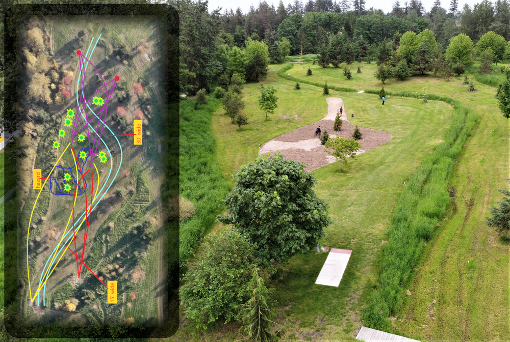 Intentional Design Process — INdesign Disc Golf Course Design