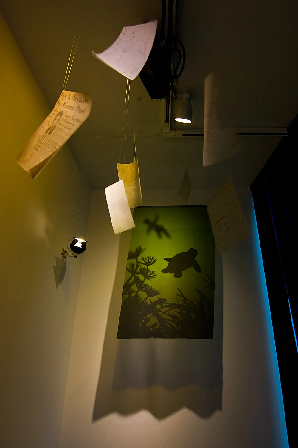 Escaping Gravity: Breathing, Dying, Swimming, Flying — Grace Weston ...
