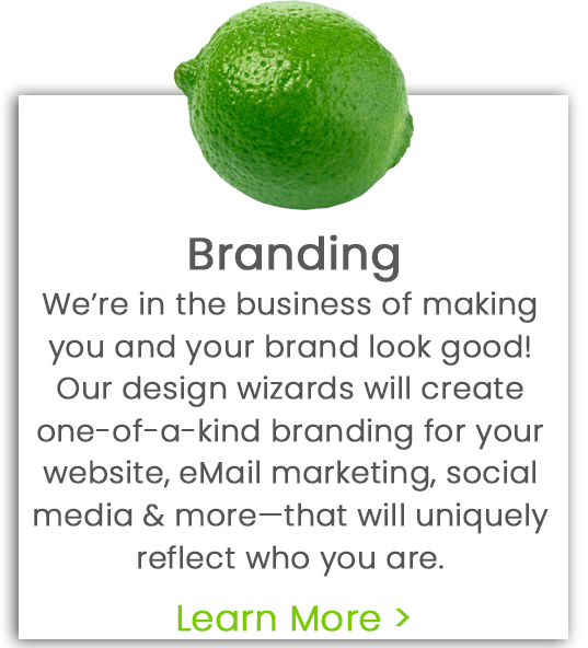 Limelight Marketing Systems