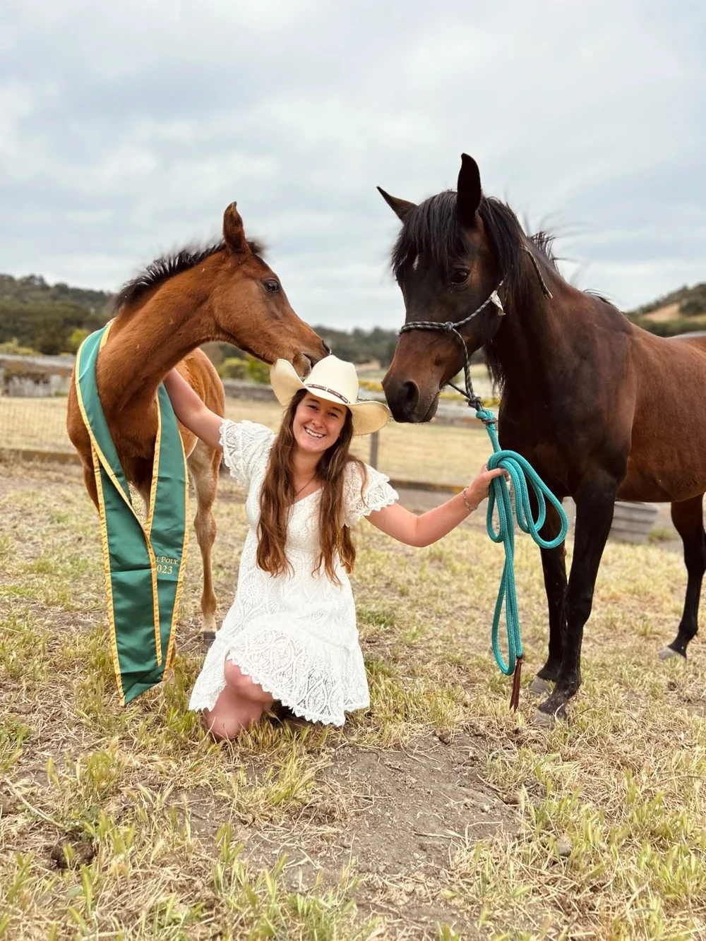 Meet the Team — Alta Equine