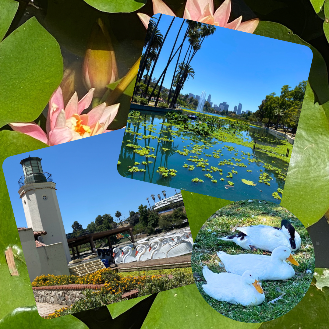 Echo Park History Tour & Swan Boat Ride — Art Deco Society of Los Angeles