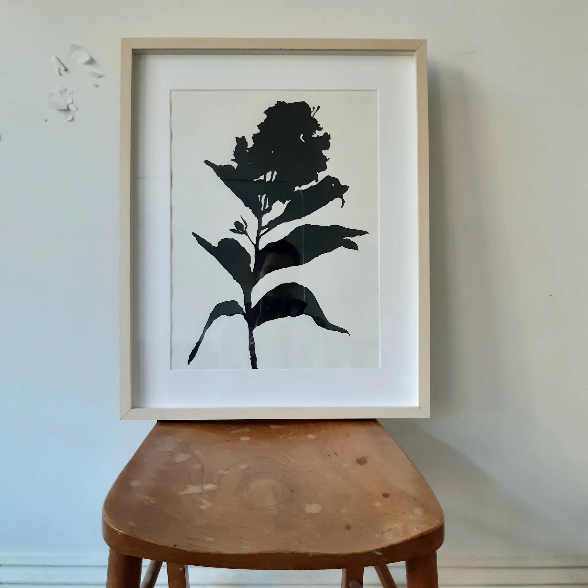 Botanical Art — FOUR PEAS IN A POD