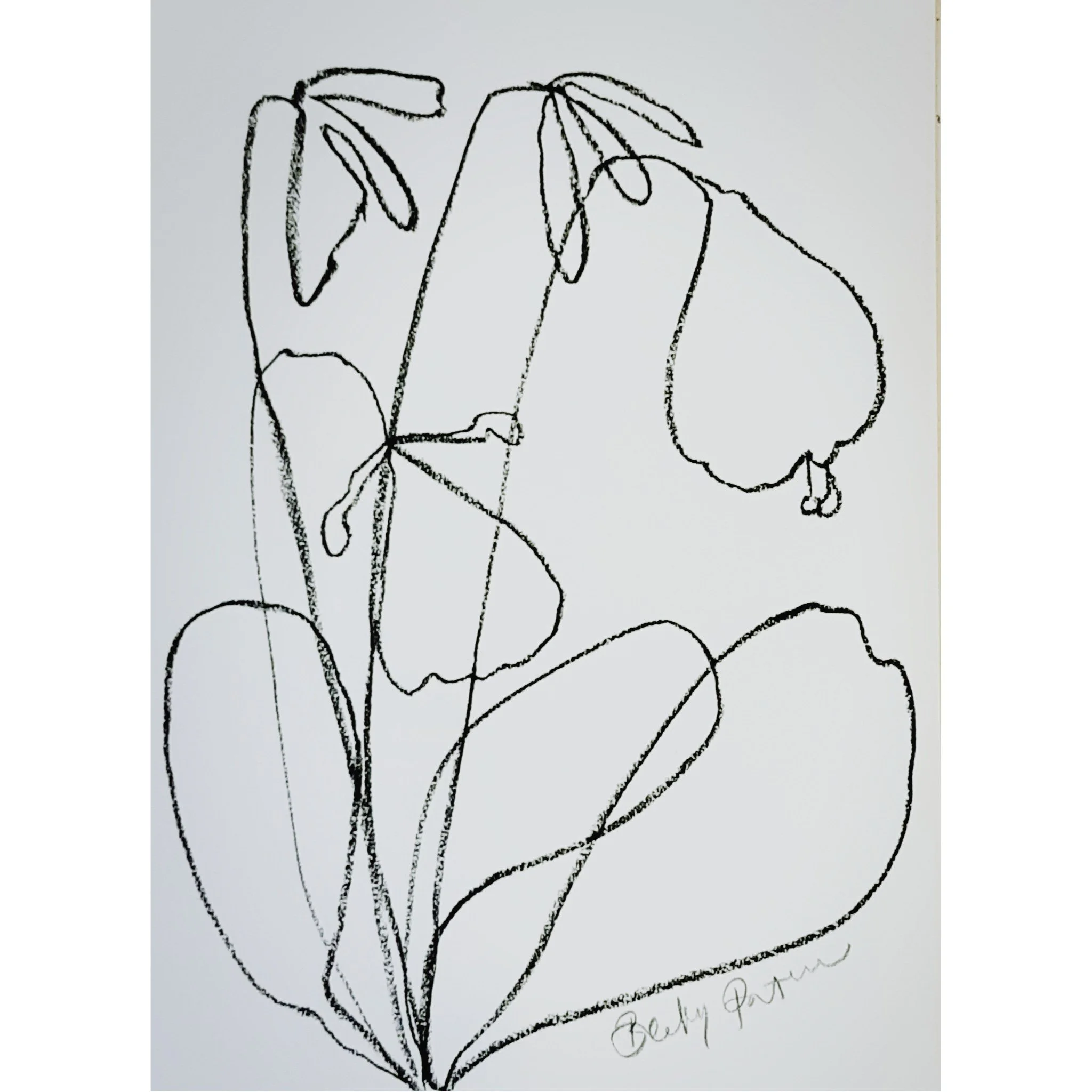 Botanical Art — FOUR PEAS IN A POD