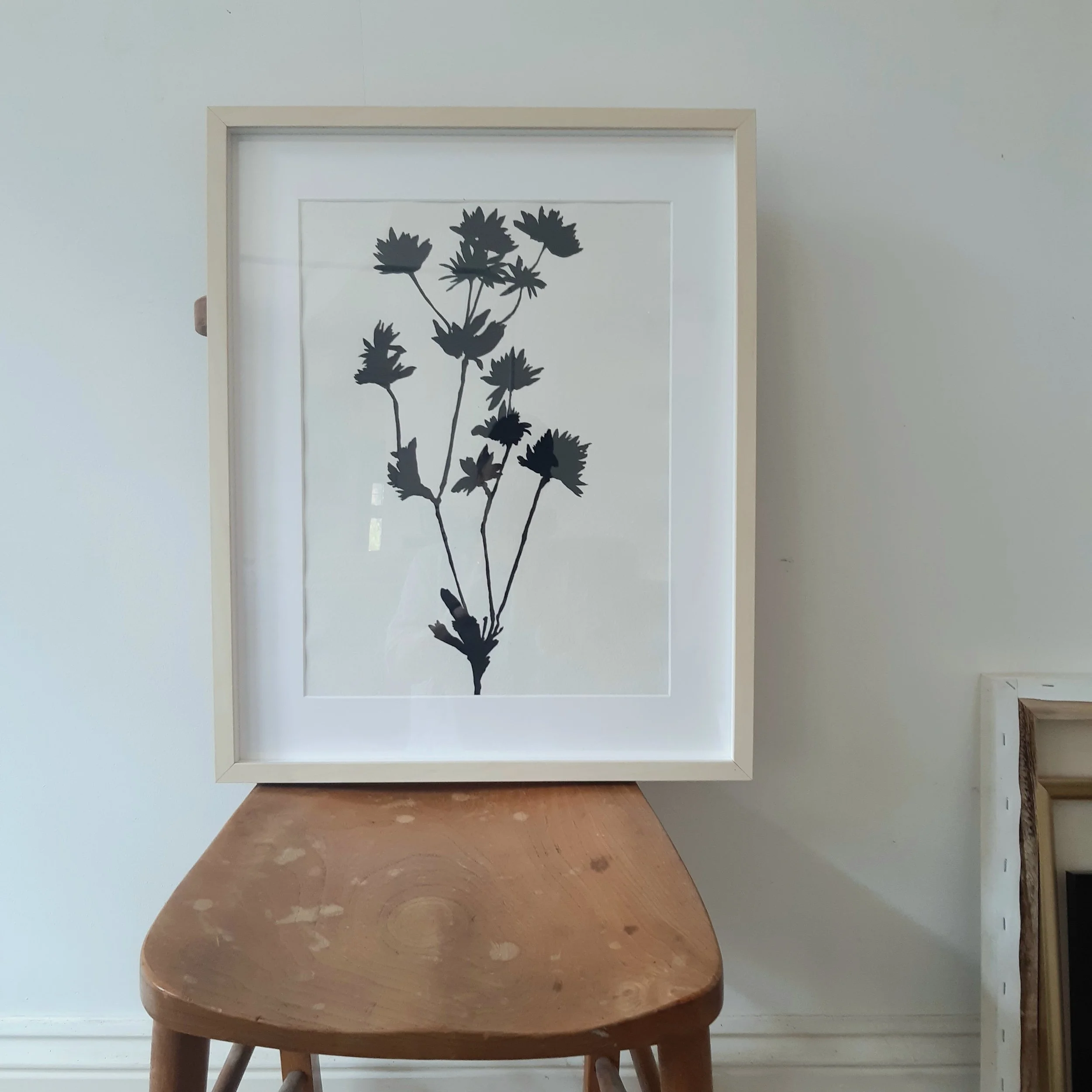 Botanical Art — FOUR PEAS IN A POD