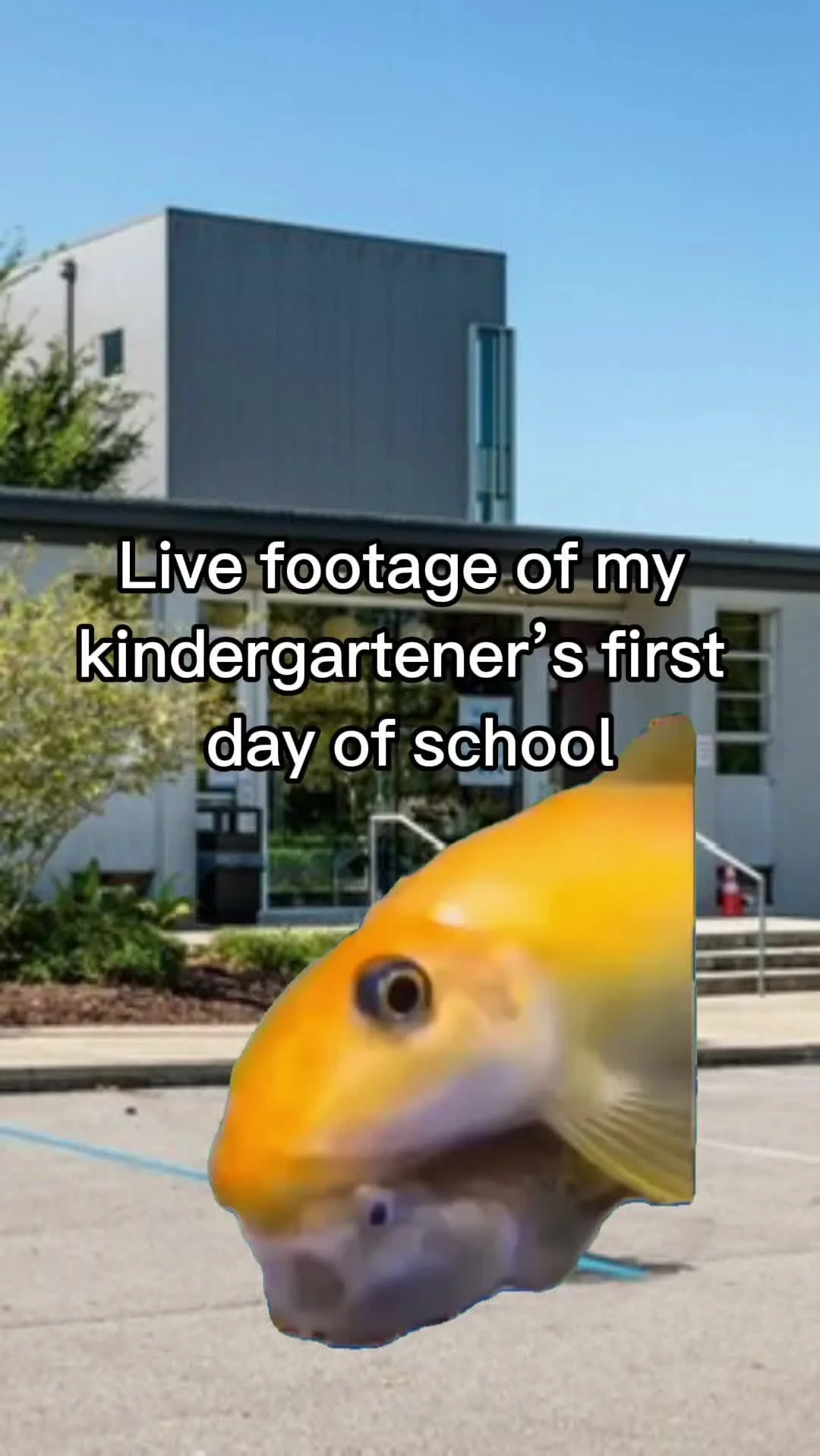 Contact Us | Teach Play Learn