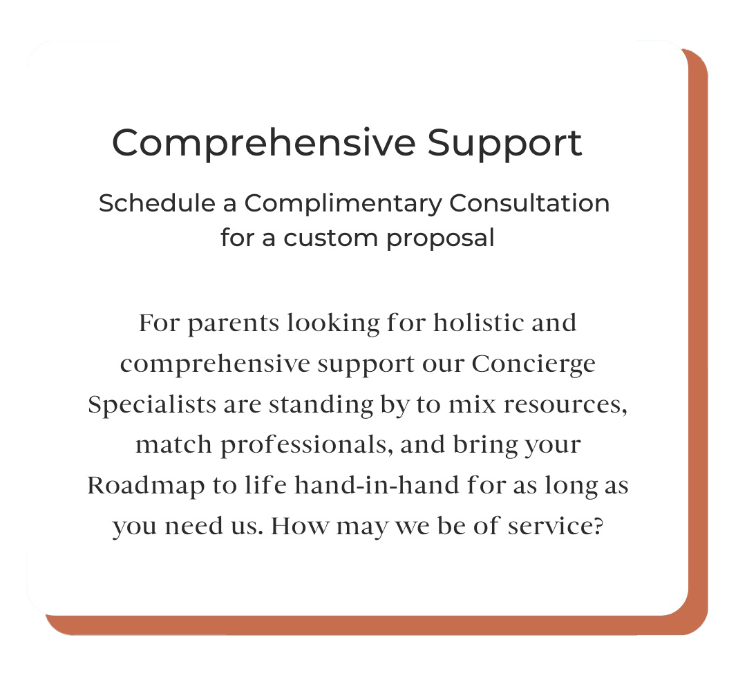 Educational Consultant & Concierge Services | Teach Play Learn