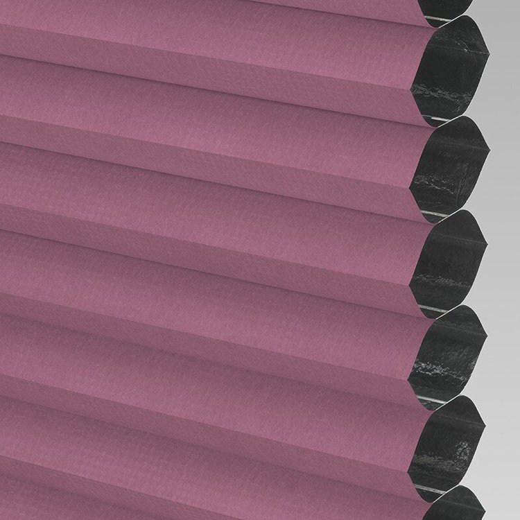 INTU Blinds - Upto 50% OFF — TopCat Window Blinds