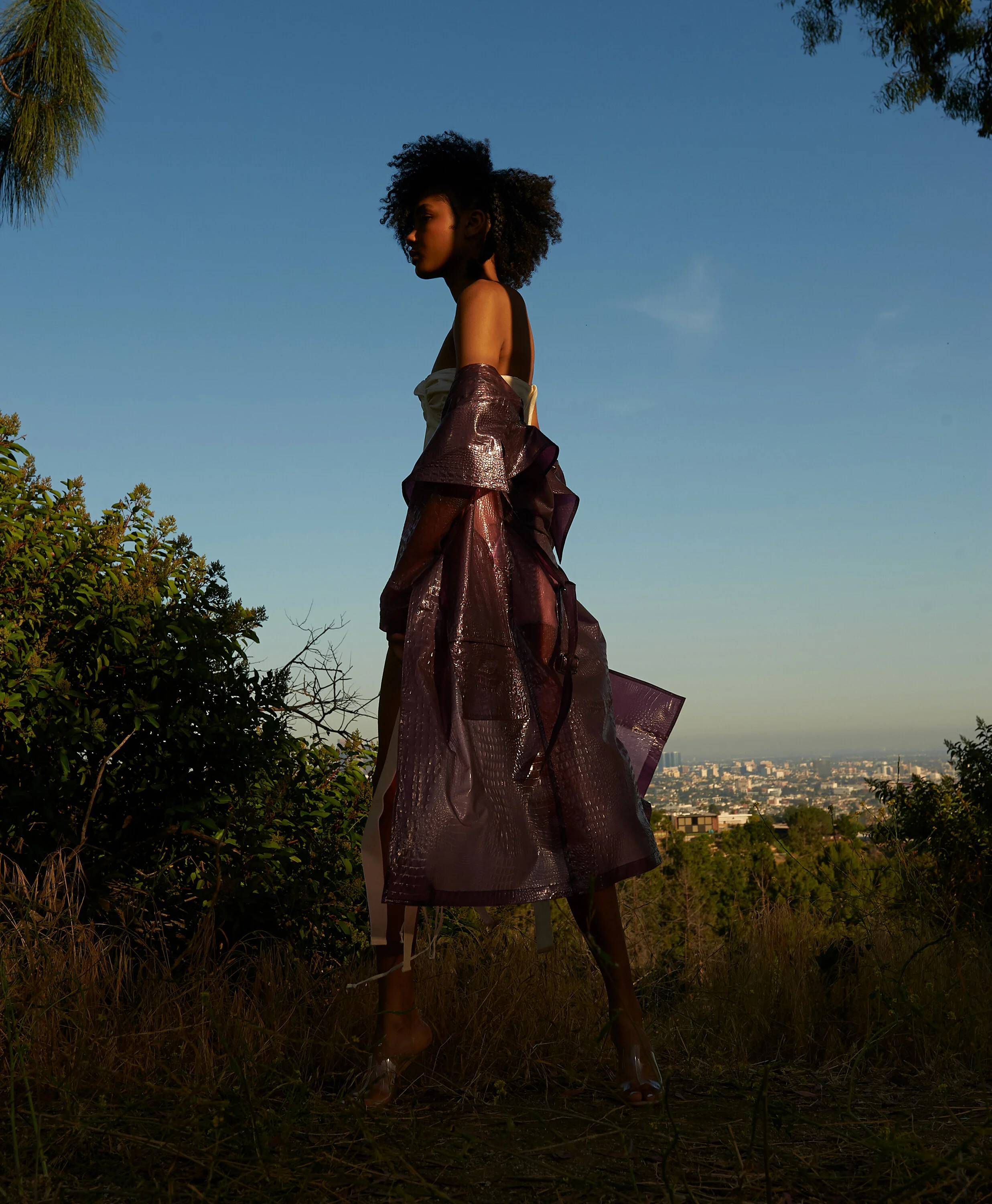 David Joseph Perez, Photographer | View Stunning Photos Today