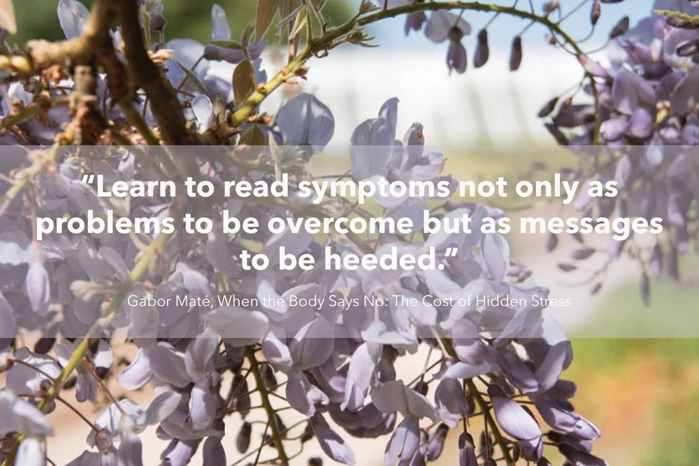 Exploring the Powerful Mind-Body Connection | Well Being Hive