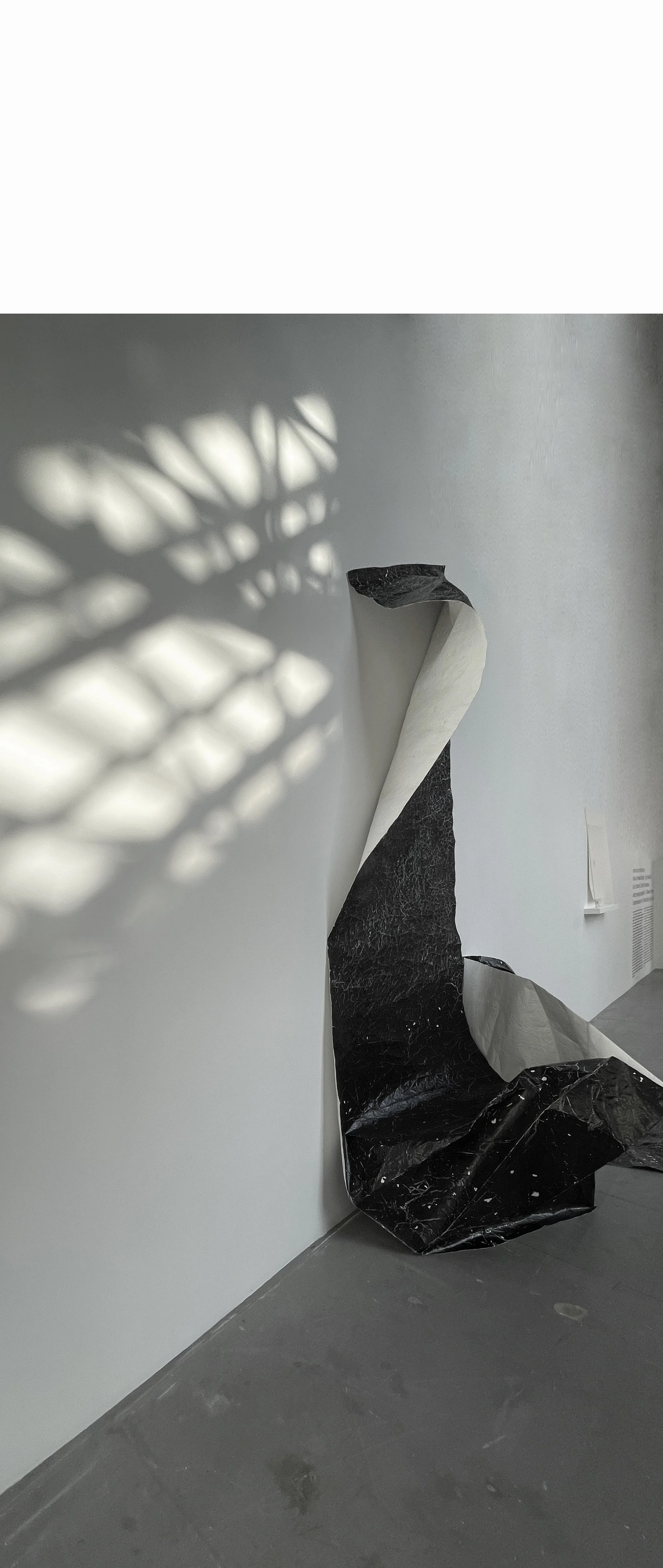 Joy Episalla